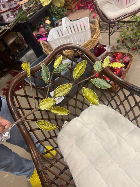 Variegated green 25 inch eliagnus spray – Jeffrey Surles Living